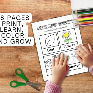 Strawberry Garden Unit Study Downloads Preschool, Kinder, First and ...