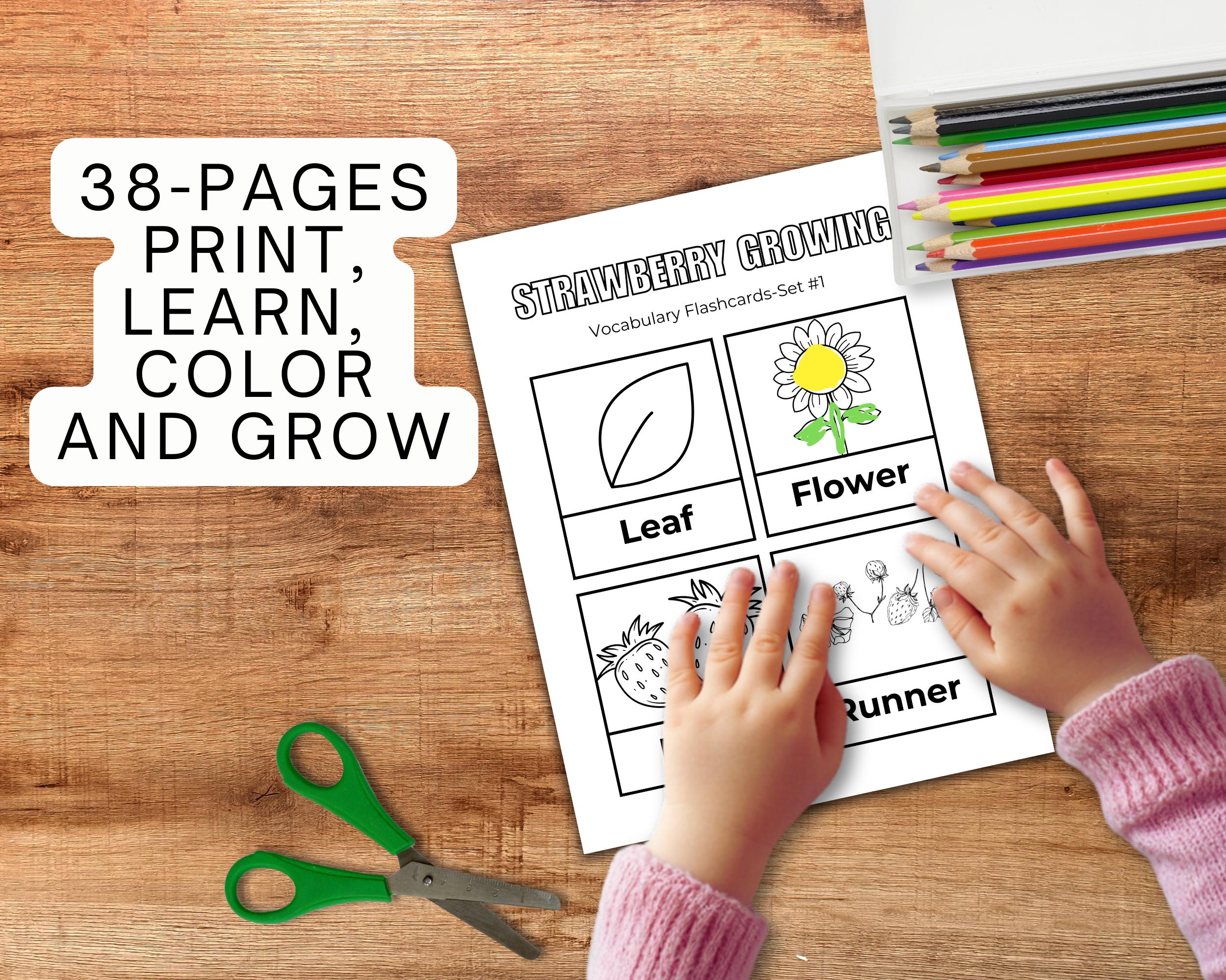 Strawberry Garden Unit Study Downloads Preschool, Kinder, First and ...