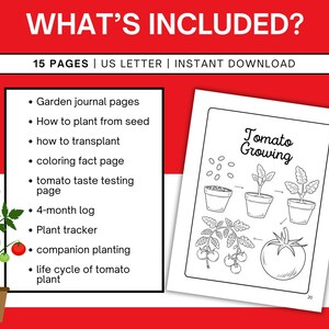 Kids Grow a Tomato Plant From Seed Science Garden Unit Study Garden ...