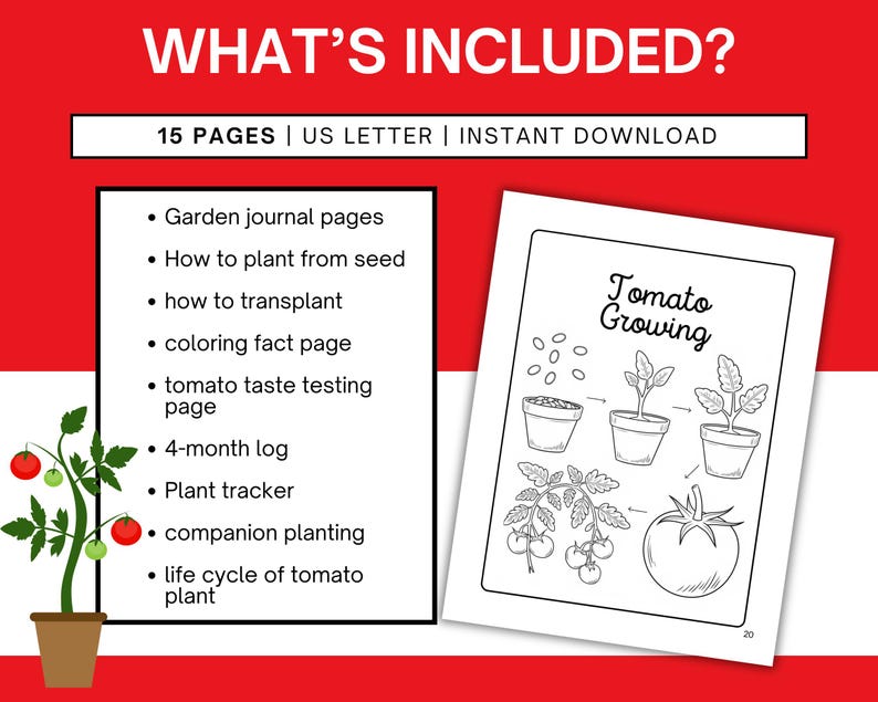 Kids Grow a Tomato Plant From Seed Science Garden Unit Study Garden ...