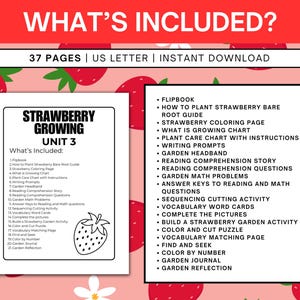 Strawberry Garden Unit Study Downloads Preschool, Kinder, First and ...