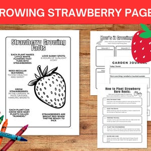 Strawberry Garden Unit Study Downloads Preschool, Kinder, First and ...