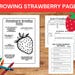 Strawberry Garden Unit Study Downloads Preschool, Kinder, First and ...