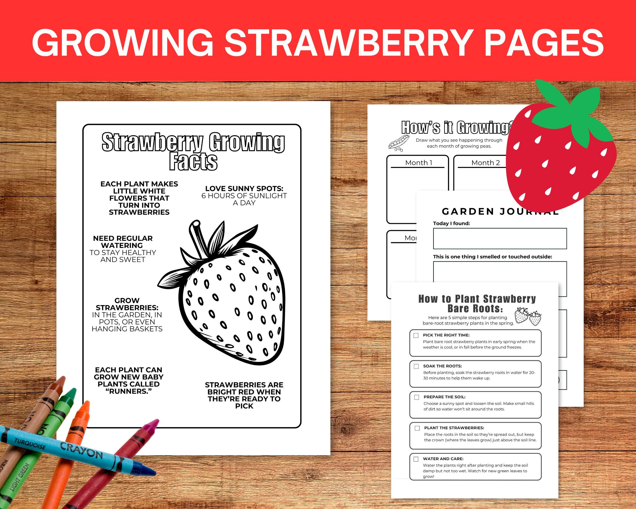Strawberry Garden Unit Study Downloads Preschool, Kinder, First and ...