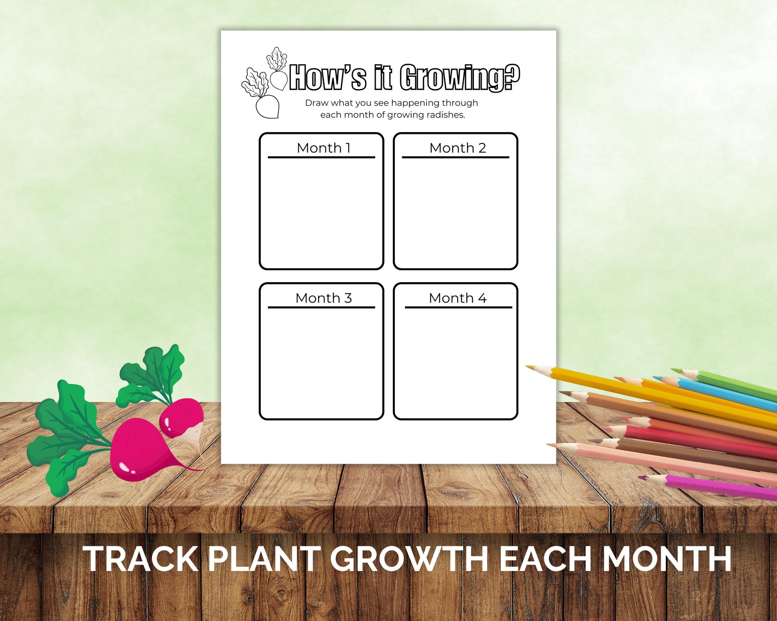 Radish Seed Growing Guide for Kids With Easy to Grow Plant Guide ...