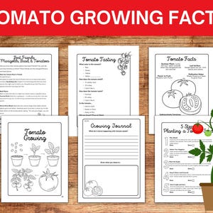 Kids Grow a Tomato Plant From Seed Science Garden Unit Study Garden ...