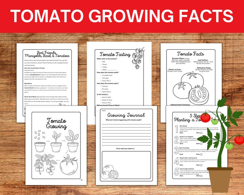 Kids Grow a Tomato Plant From Seed Science Garden Unit Study Garden ...