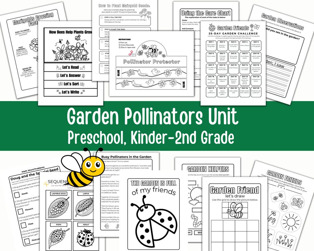Pollinator Garden Unit Study for Preschoolers, Kinders, 1st, and 2nd ...