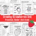 Strawberry Garden Unit Study Downloads Preschool, Kinder, First and ...