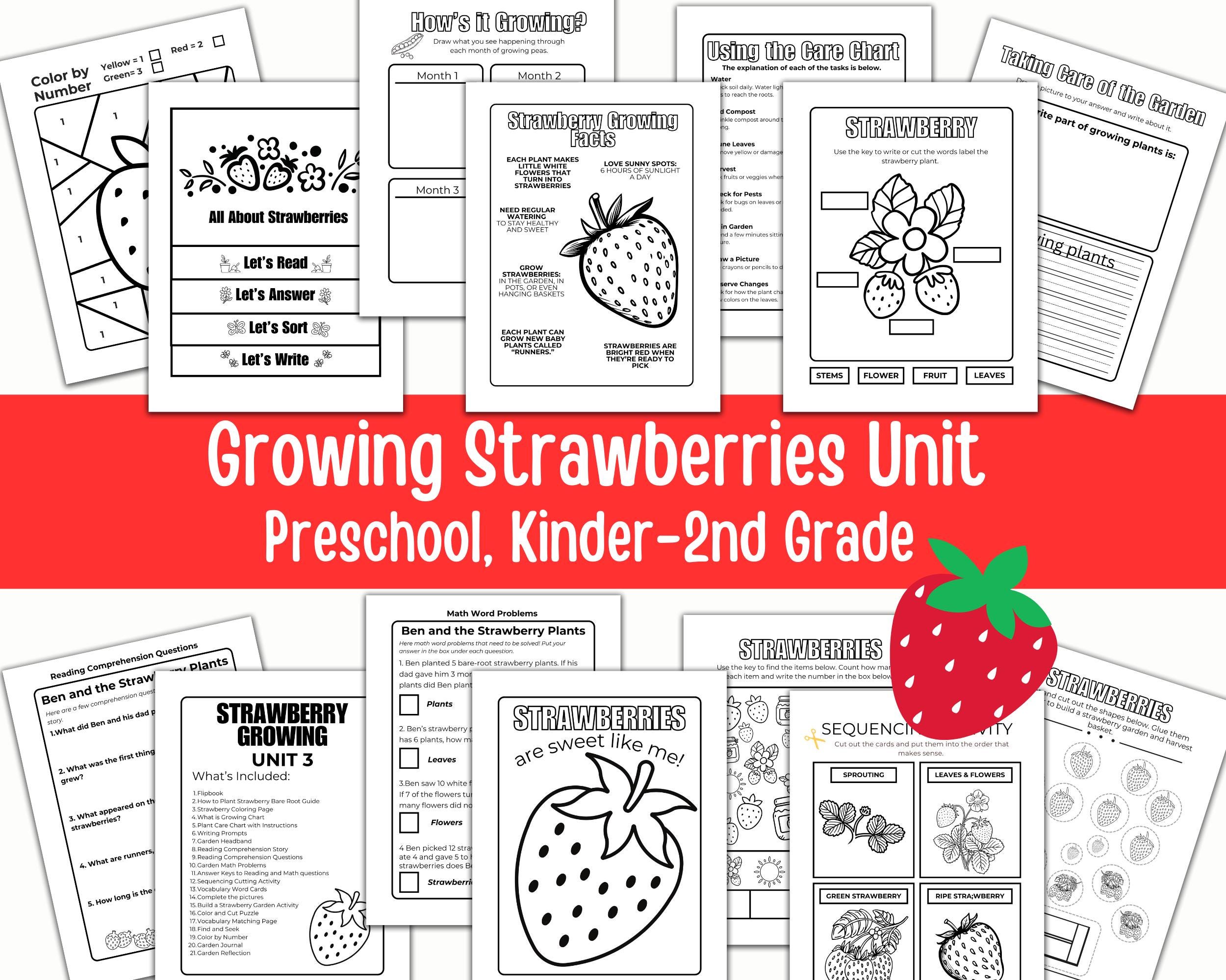 Strawberry Garden Unit Study Downloads Preschool, Kinder, First and ...