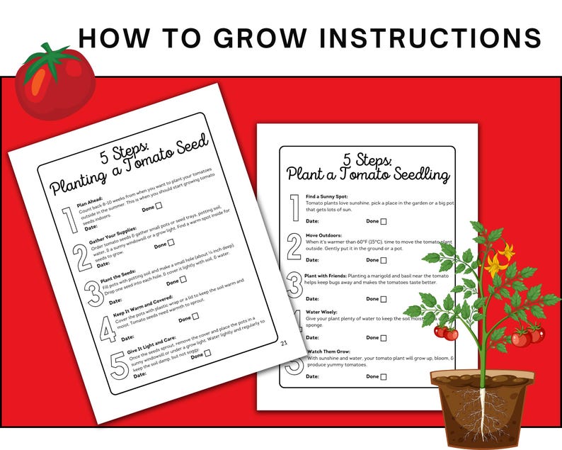 Kids Grow a Tomato Plant From Seed Science Garden Unit Study Garden ...