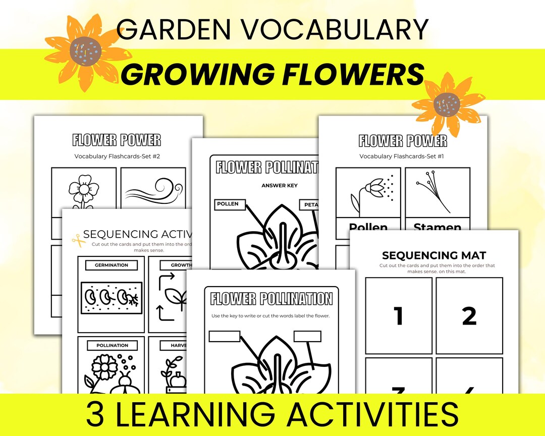 Kids Flower Growing Vocabulary Activity Pack: Sight Words Vocabulary ...