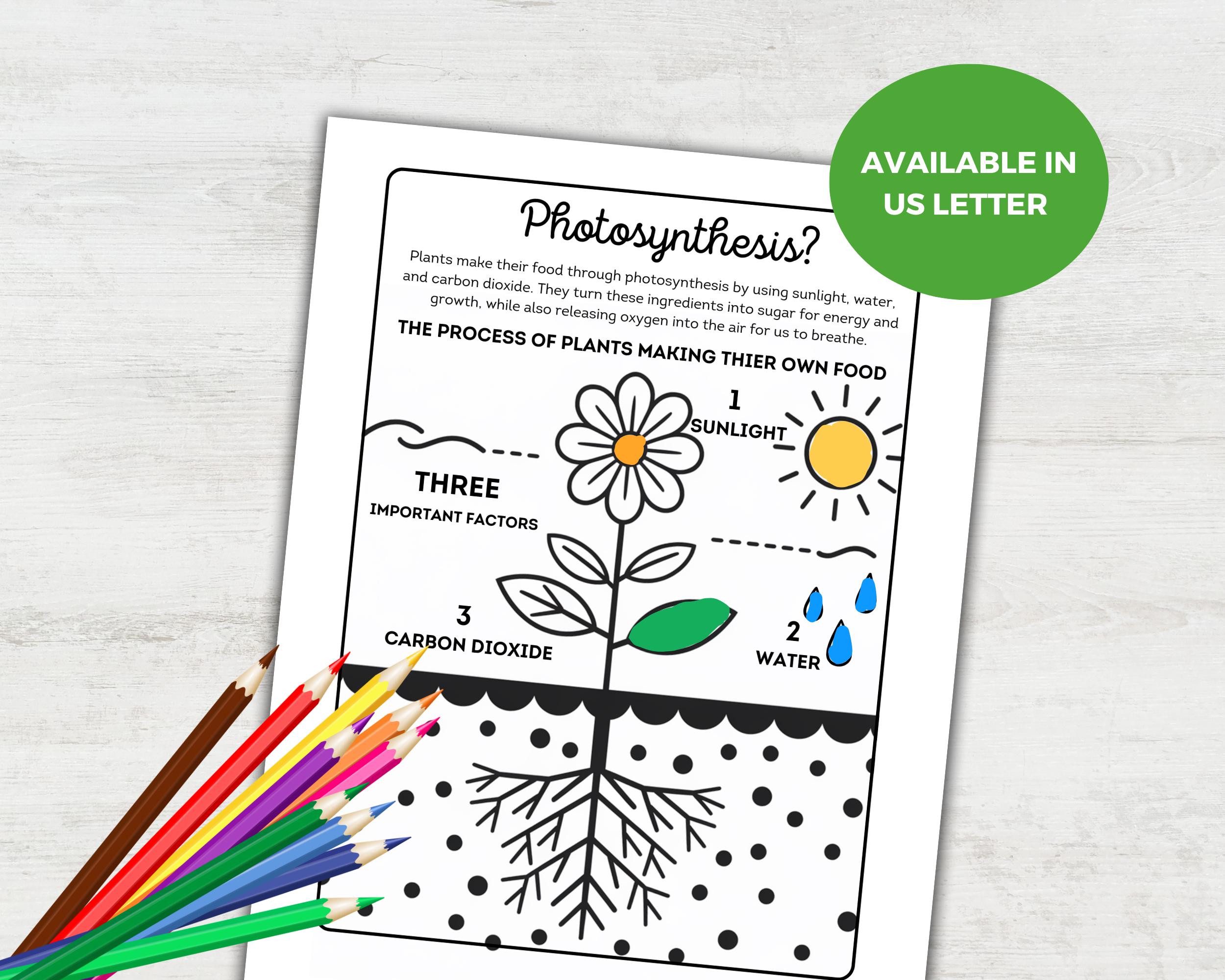 Photosynthesis Science Worksheets for Kids With Journal and Coloring ...