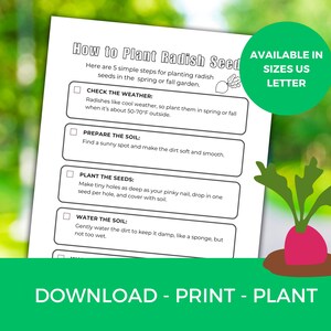Radish Seed Growing Guide for Kids With Easy to Grow Plant Guide ...