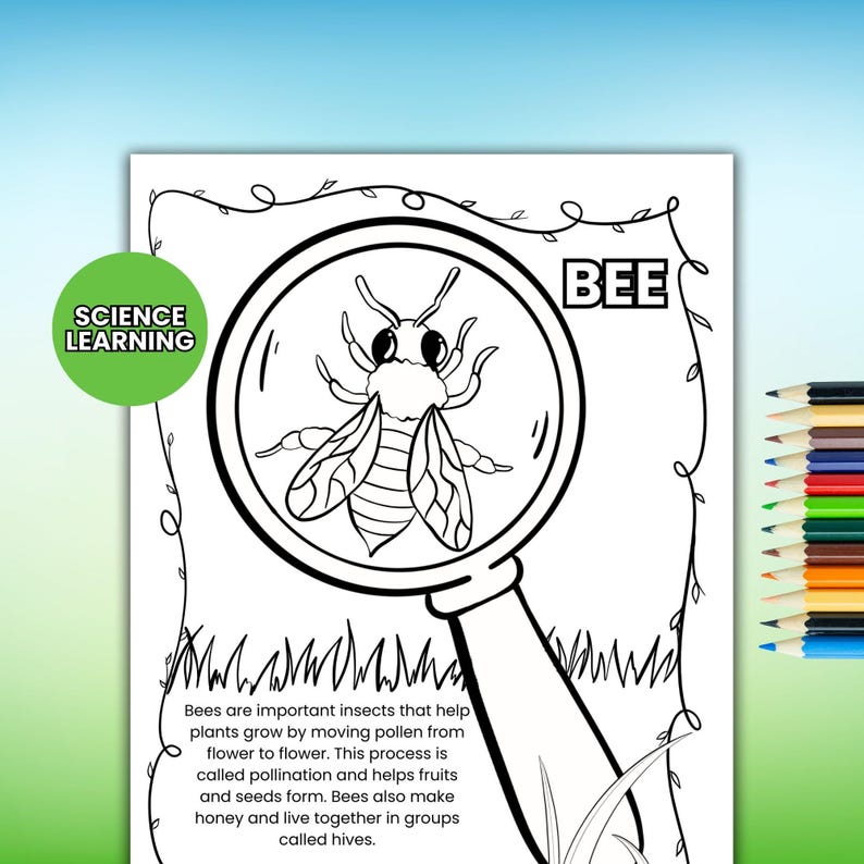 Bug Coloring Pages for Kids, 7 Science Learning Worksheets, Insect ...