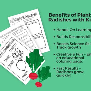 Radish Seed Growing Guide for Kids With Easy to Grow Plant Guide ...