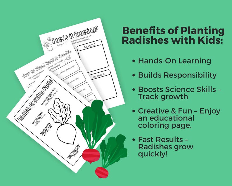 Radish Seed Growing Guide for Kids With Easy to Grow Plant Guide ...