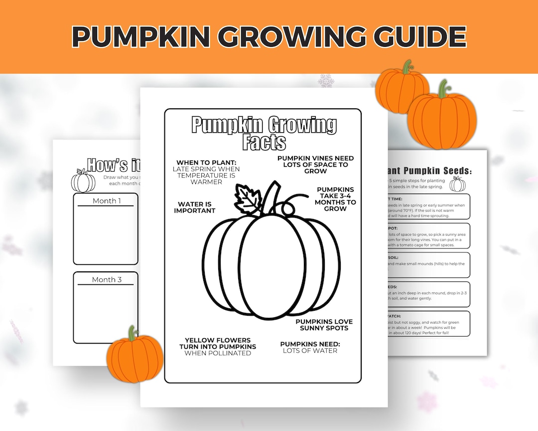 Pumpkin Growing Guide for Kids With Educational Coloring Page, Easy-to ...