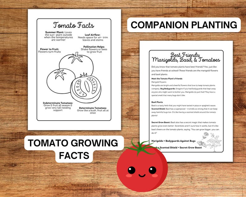 Kids Grow a Tomato Plant From Seed Science Garden Unit Study Garden ...