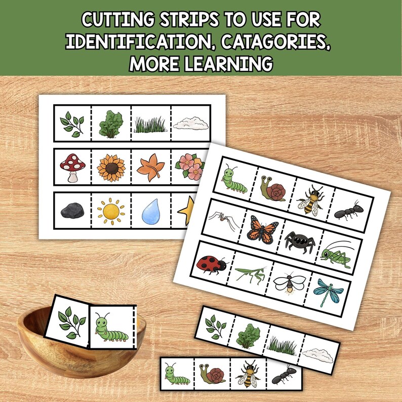 Bug Cutting Practice Worksheets for Kids, Preschool Nature Fine Motor ...