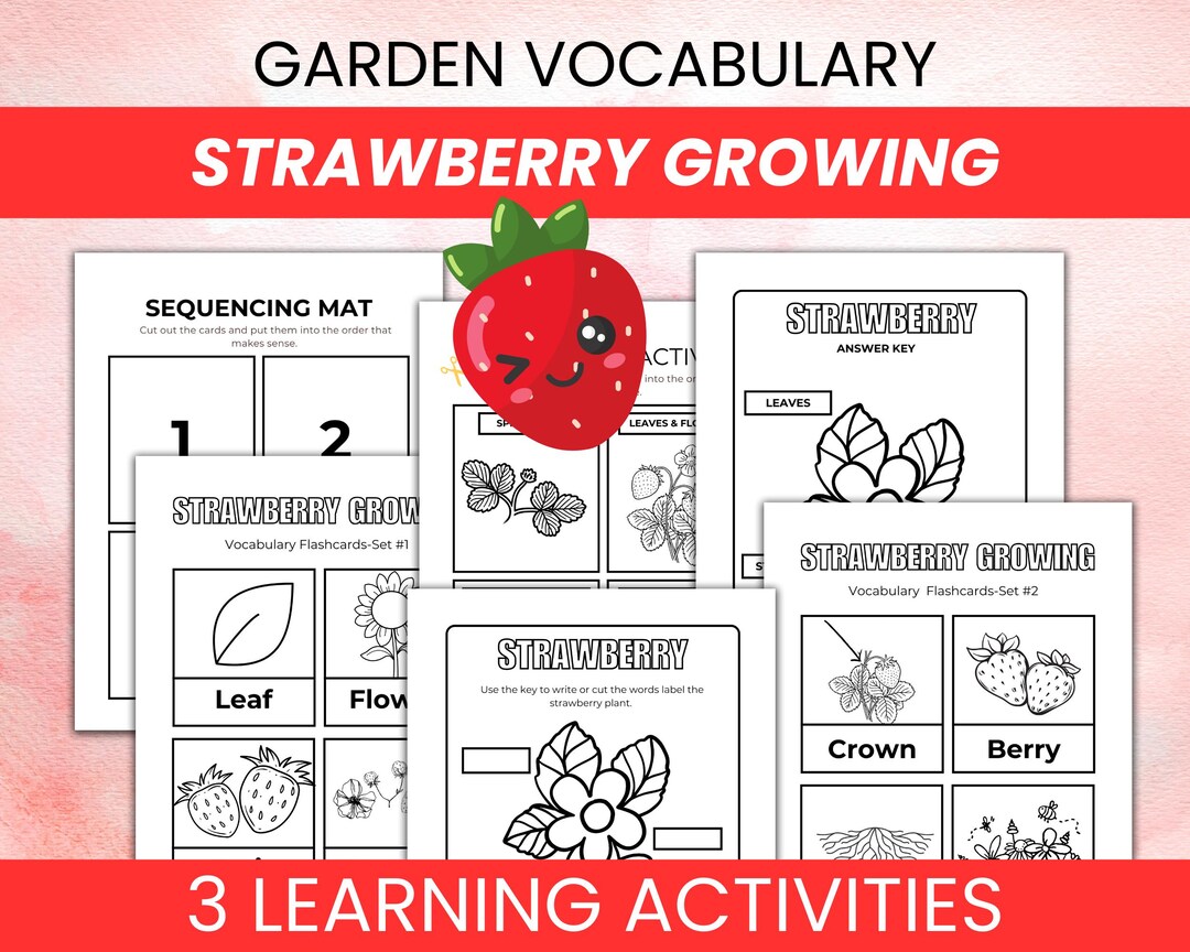 Kids Strawberry Growing Vocabulary Pack With 3 Learning Activities ...