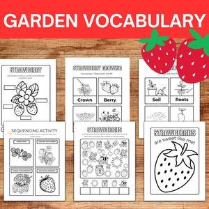 Strawberry Garden Unit Study Downloads Preschool, Kinder, First and ...