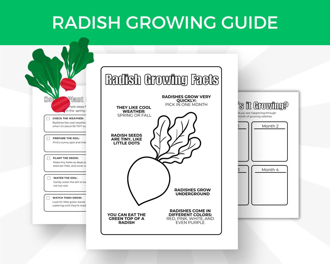 Radish Seed Growing Guide for Kids With Easy to Grow Plant Guide ...