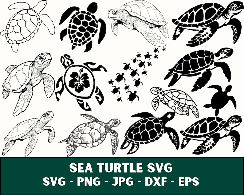 TURTLE SVG, Sea Turtle Svg, 200 Sea Turtles DESIGNS Clipart, Turtle Svg ...
