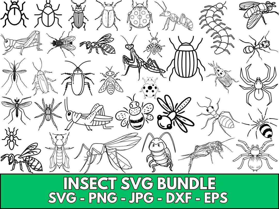 Insect SVG Bundle, Insect PNG Bundle, Insect Clipart, Insect Svg ...