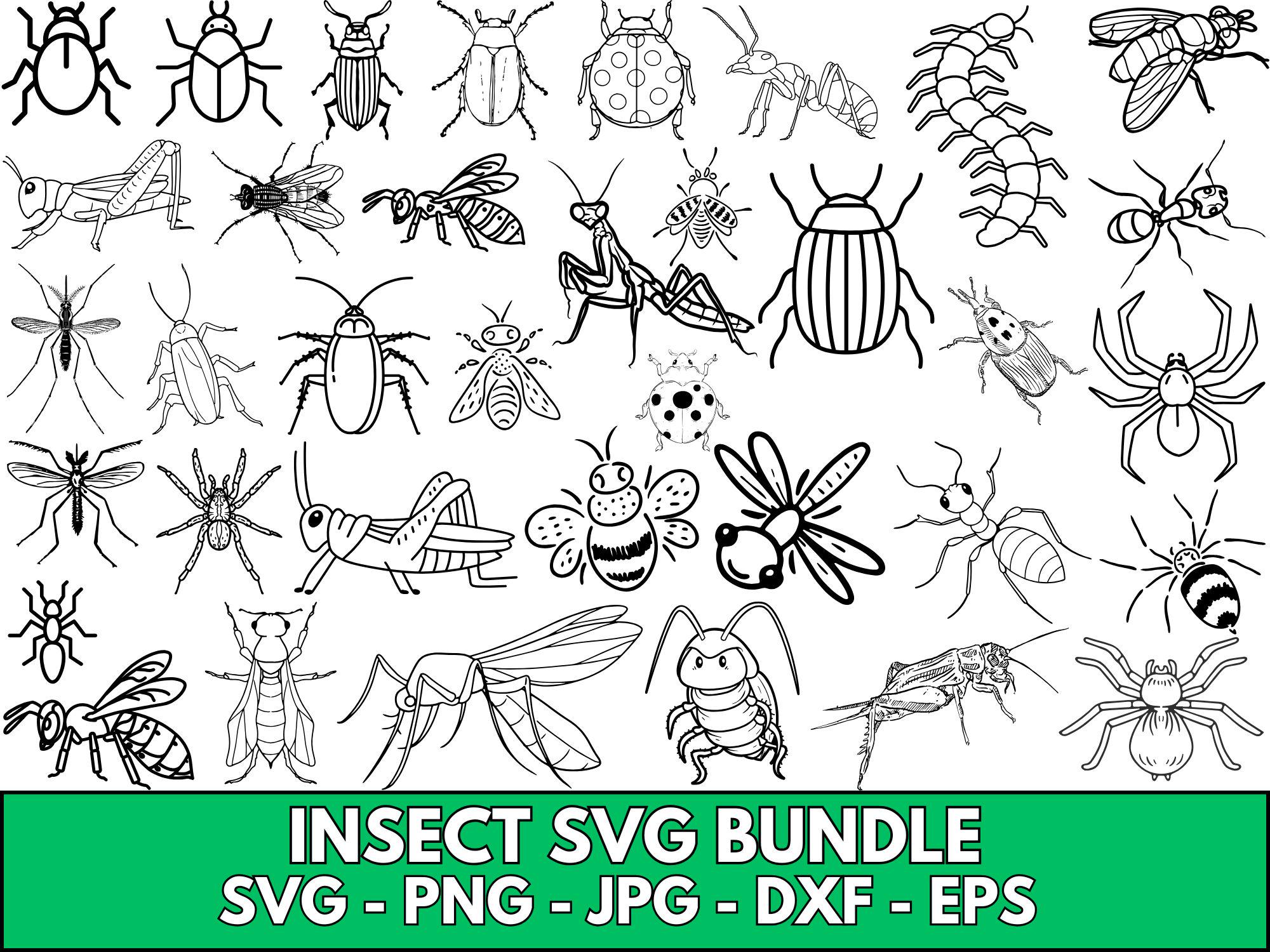Insect SVG Bundle, Insect PNG Bundle, Insect Clipart, Insect Svg ...
