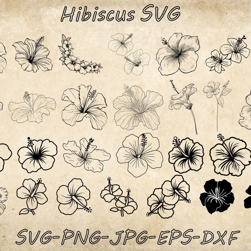 Hibiscus Digital - Etsy
