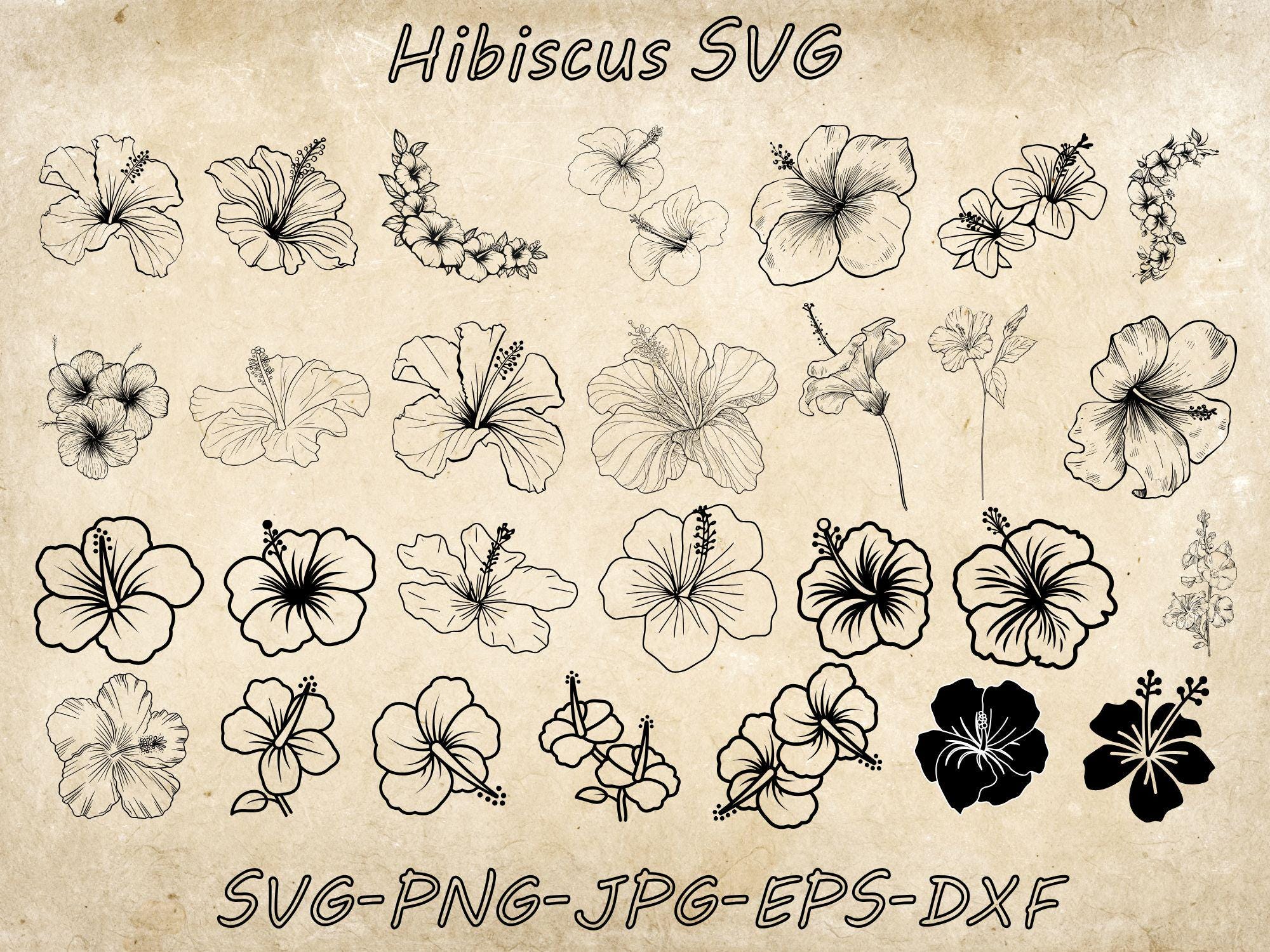 Hibiscus Flower SVG Bundle: Tropical Floral Vectors (digital Download ...