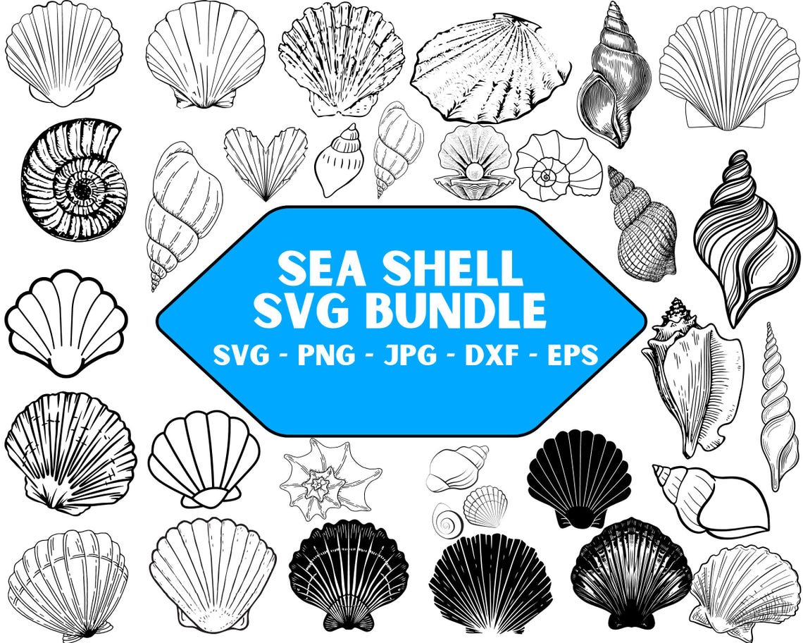 Seashell SVG Bundle: Clipart, Cut Files, Silhouette (digital Download ...