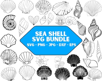 Seashell SVG Bundle, Seashell Clipart, Seashell SVG Cut Files for ...