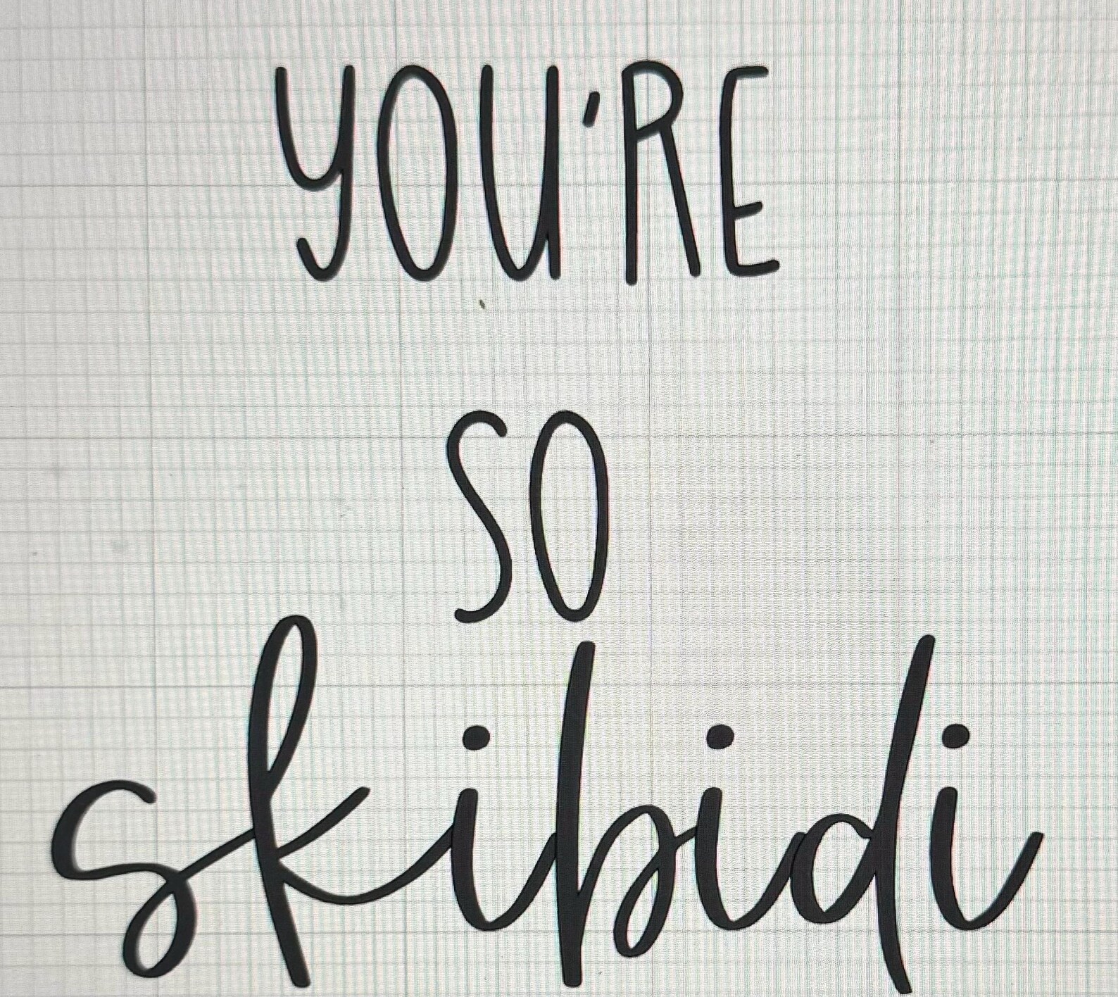 You’re so Skibidi Vinyl Decal - Etsy