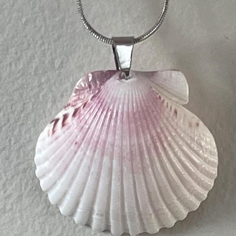 Scallop Shell Necklace - Etsy
