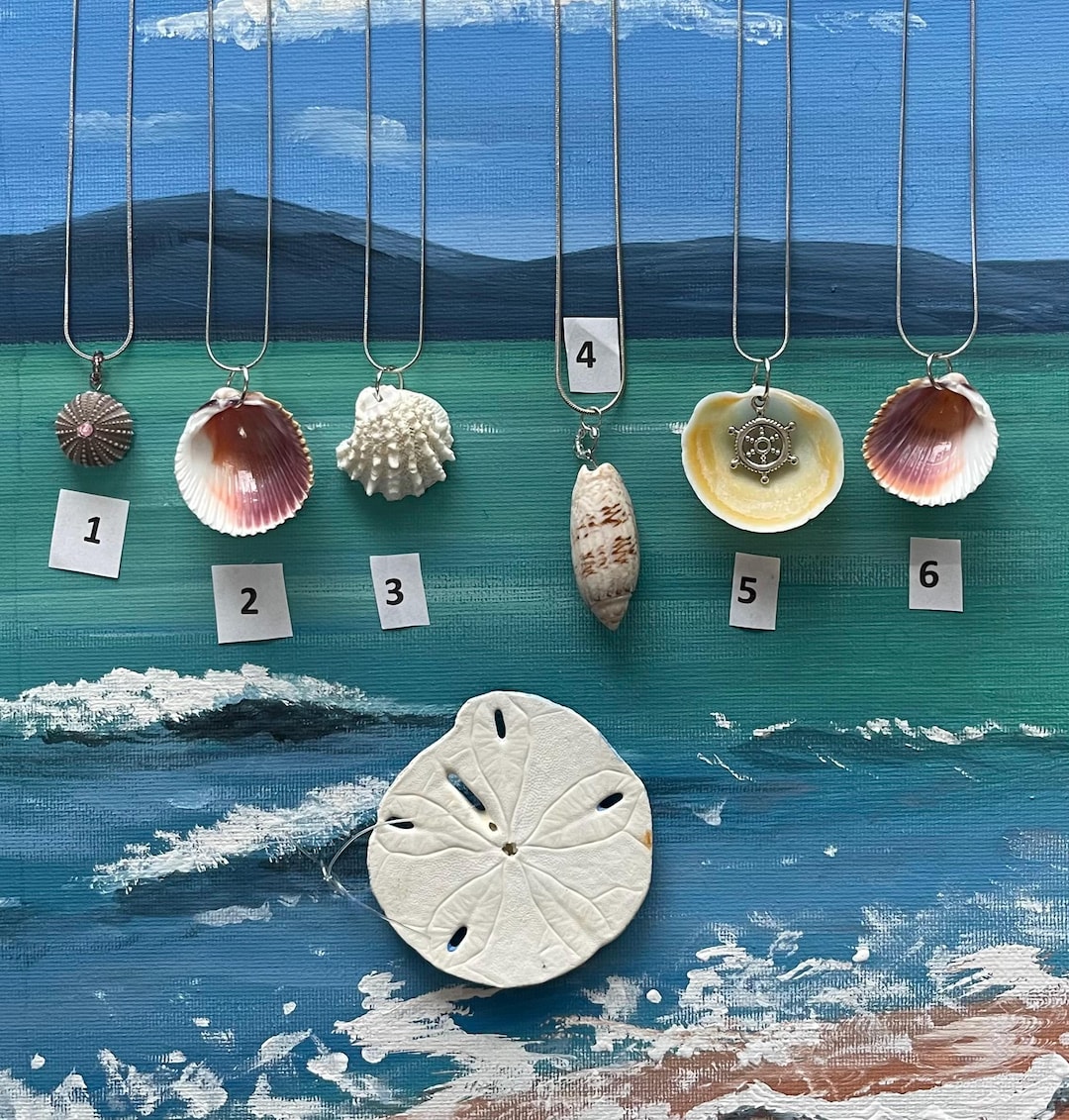 Florida Shell Necklace Sea Urchin Olive Spiny Jewel Box Prickly Cockle ...