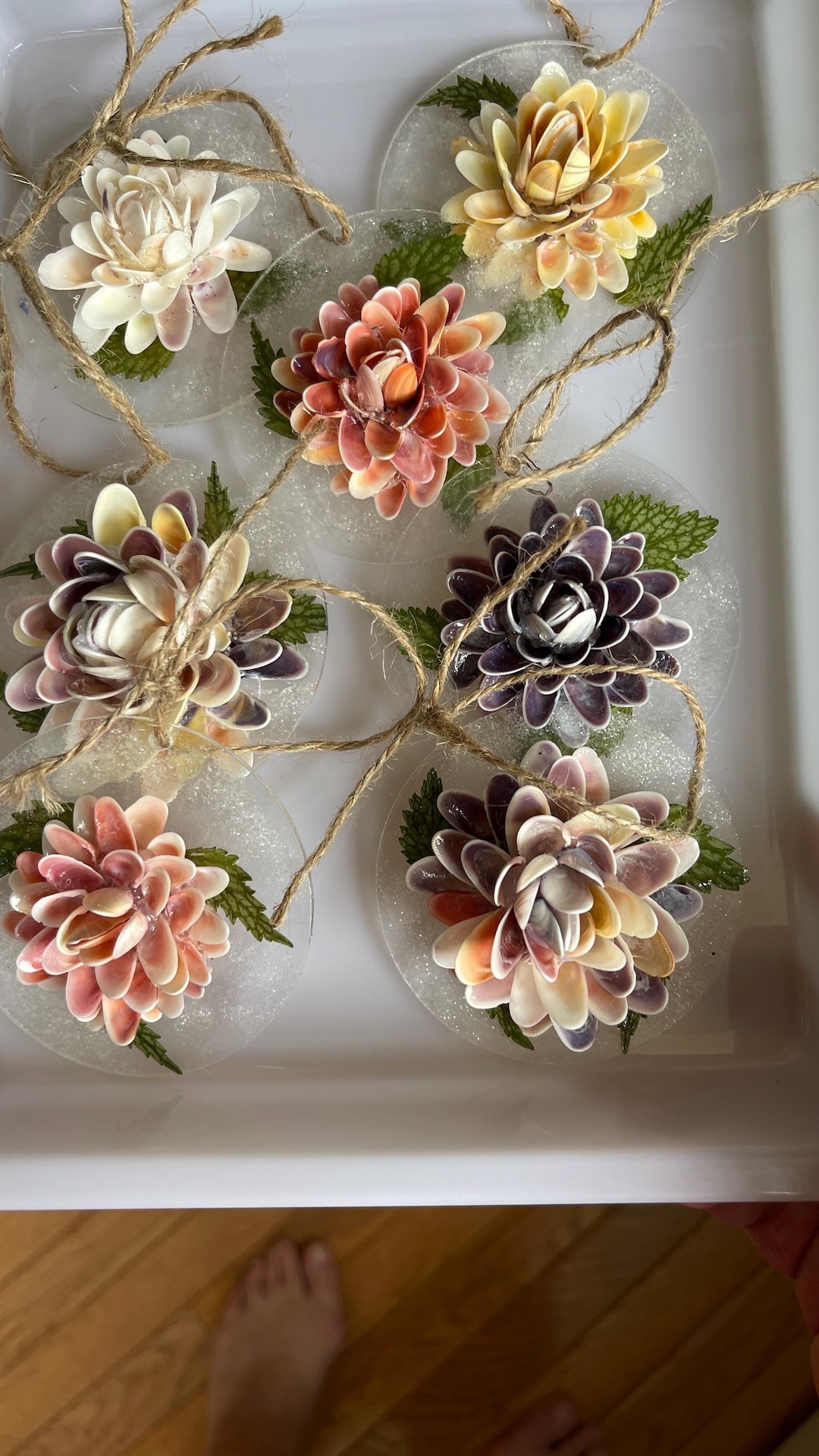 Coquina Shell Flower Ornament Gulf Coast Sea Shells - Etsy