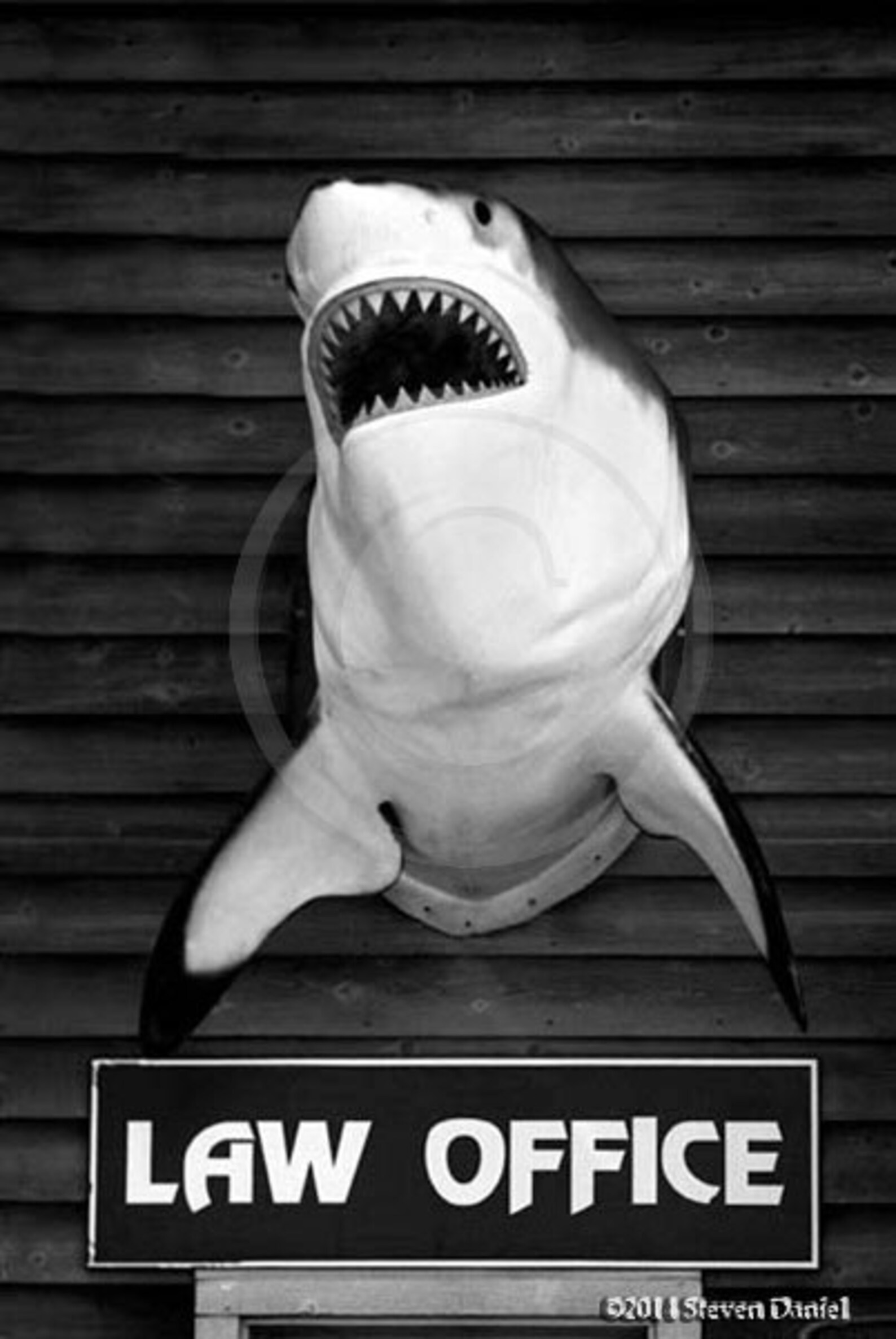 Lawyer Art Law Office Attorney at Law Shark Humor - Etsy