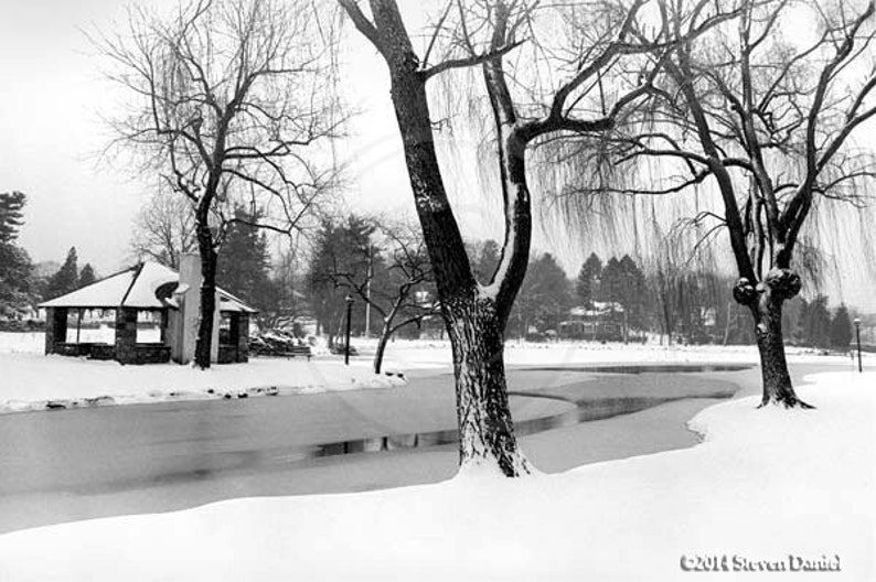 Park Snow Scene Greenwich Ct Binney Park Photo in Snow - Etsy