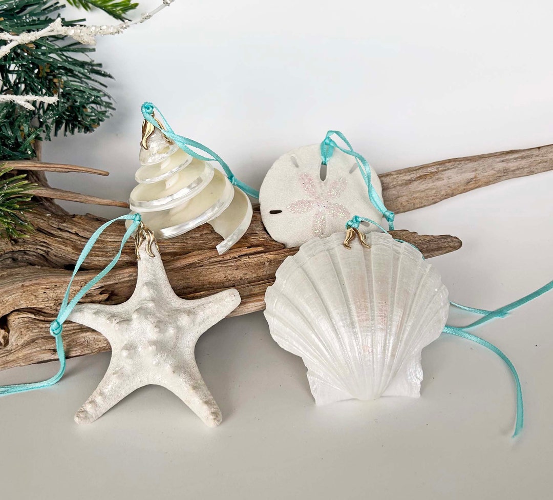 BEACH CHRISTMAS SEASHELL Ornament Set 4 Seashell/sealife - Etsy
