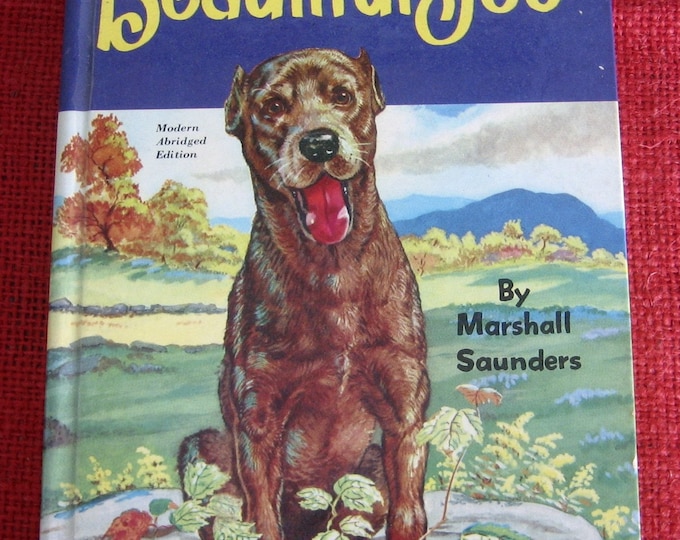 Beautiful Joe - Vintage Book - Etsy