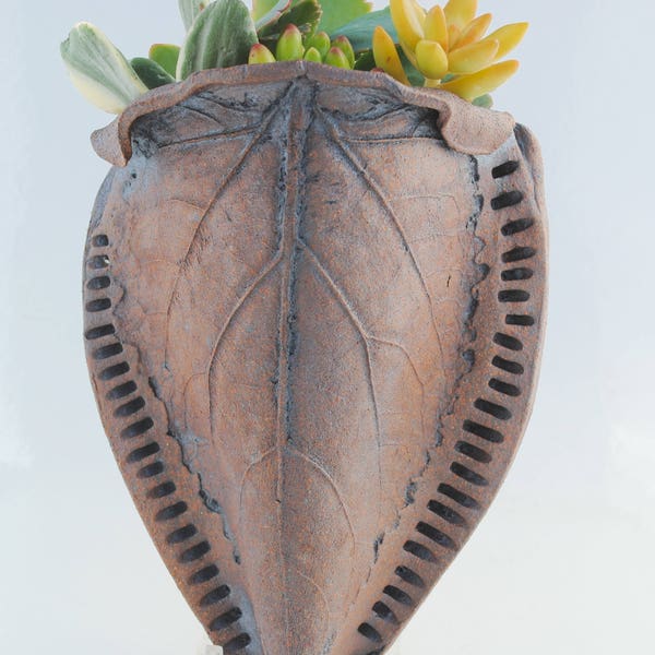 Ceramic Wall Planter - Etsy
