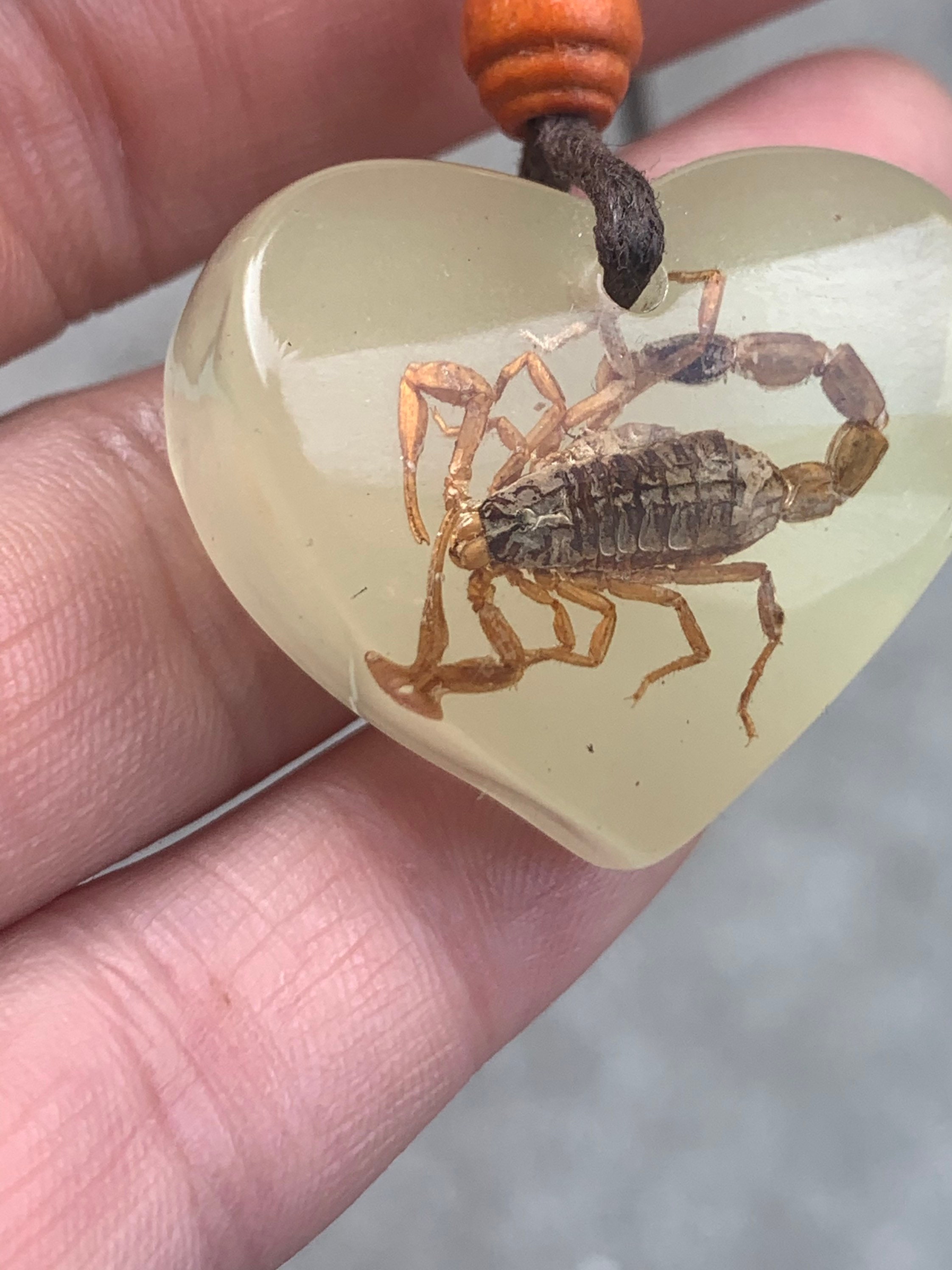 Scorpion in Lucite Pendant Adjustable Vintage String Necklace - Etsy UK