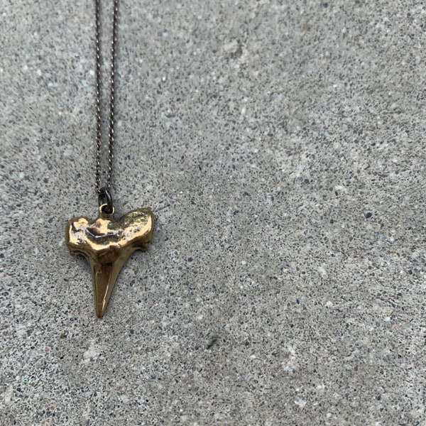 Sharktooth Necklace - Etsy