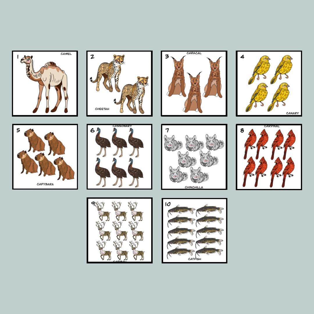 Animal Number Cards 1-10 | Ten Letter C Animals | Pre-k | Homeschool ...