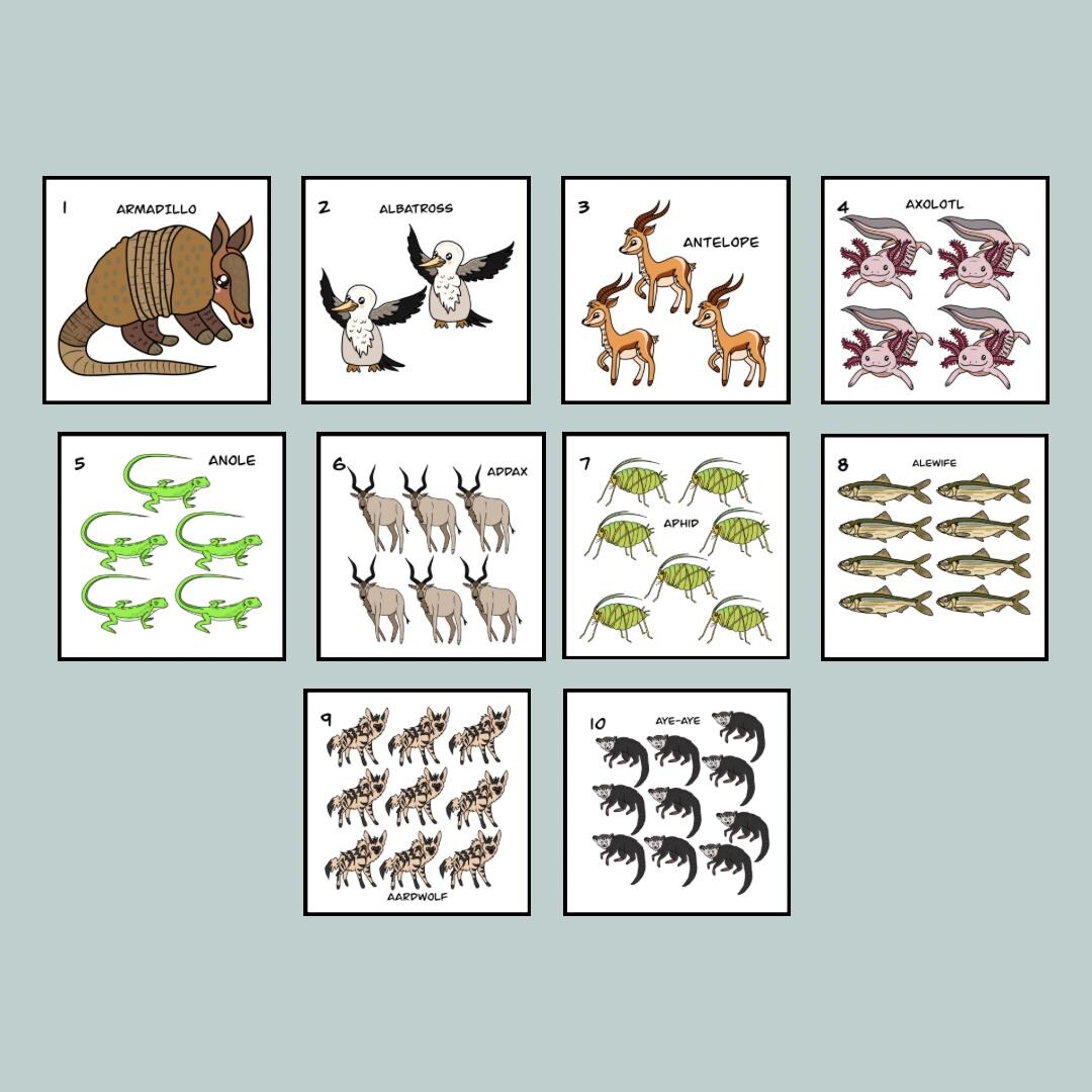Animal Number Cards 1-10 | Ten Letter A Animals | Pre-k | Homeschool ...