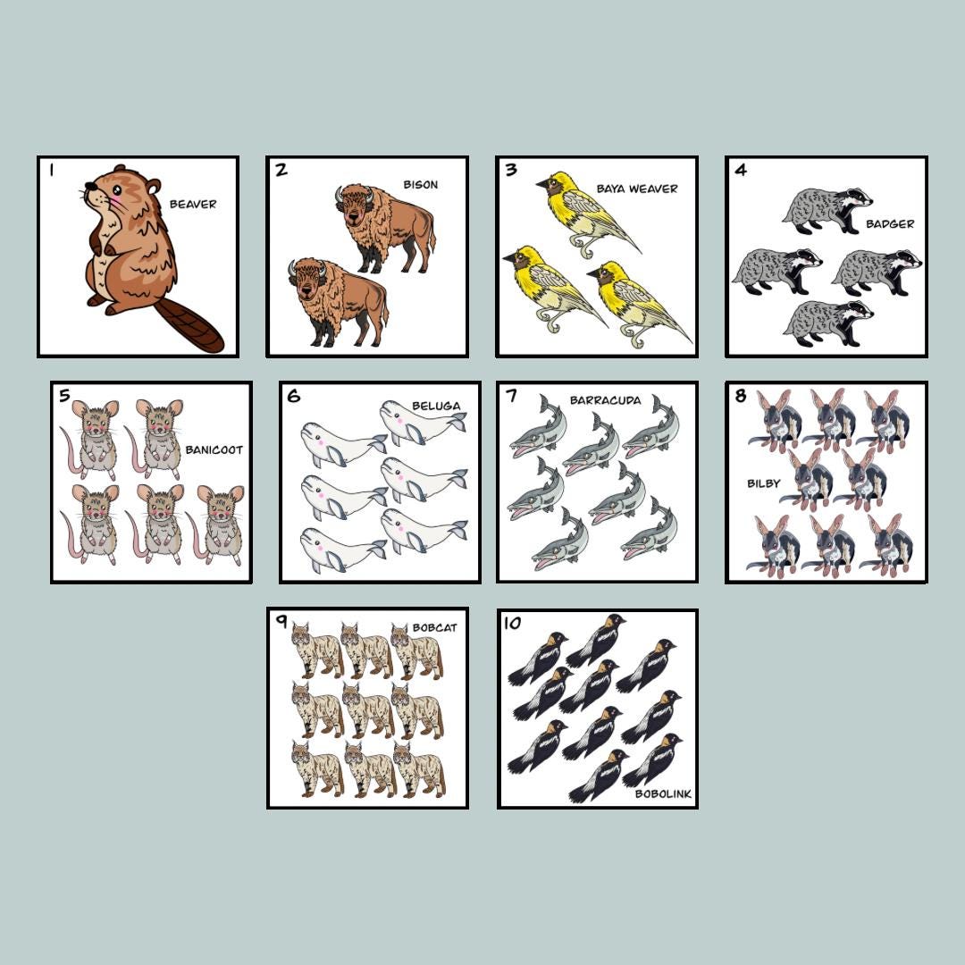 Animal Number Cards 1-10 | Ten Letter B Animals | Pre-k | Homeschool ...