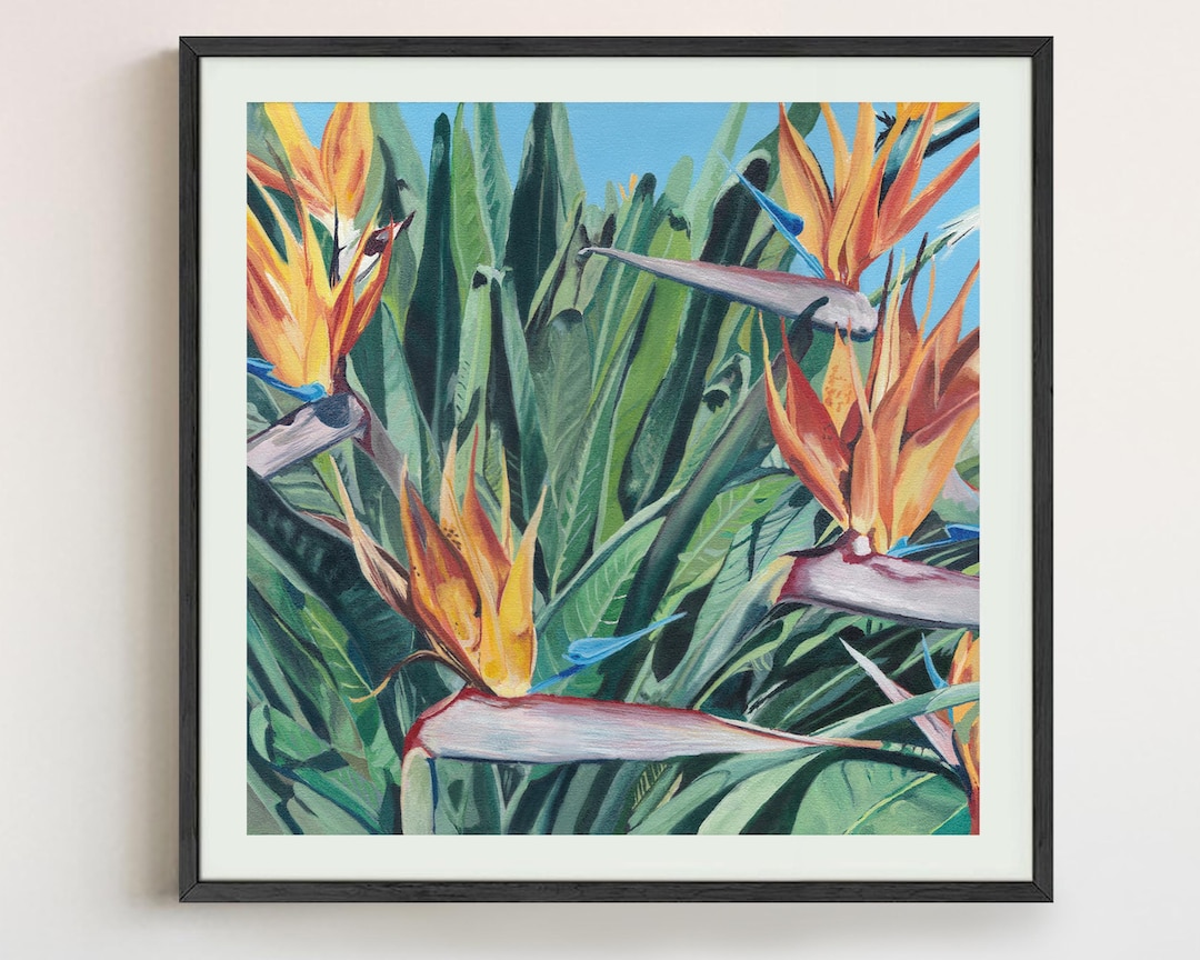 Strelitzia Art South Africa, Kraanvoëlblom, Scanned Painting ...