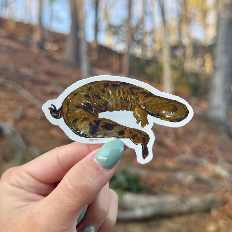 Hellbender Salamander Sticker - Etsy